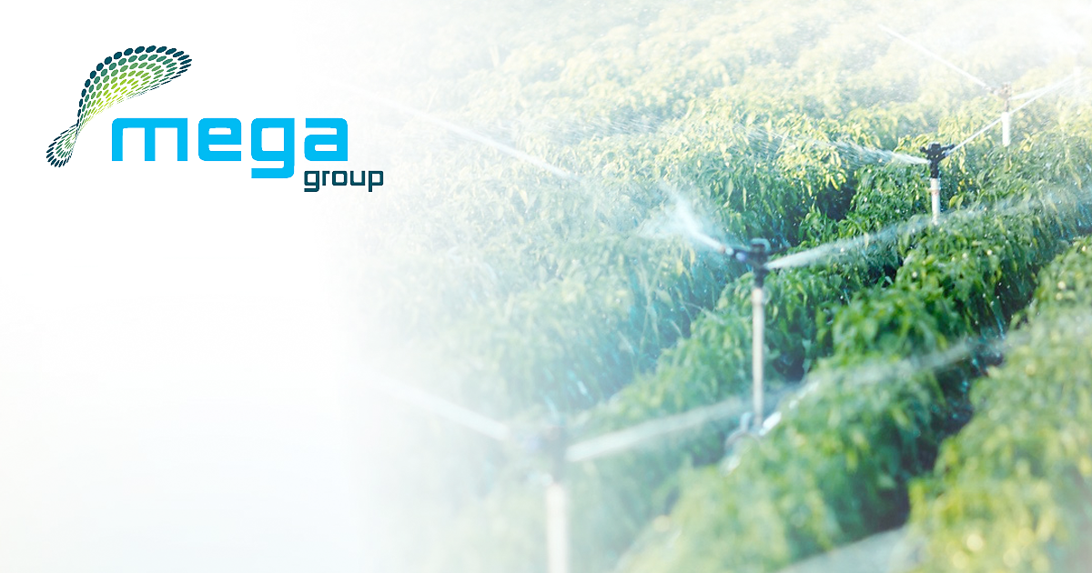 Our values - MegaGroup Trade Holding B.V.